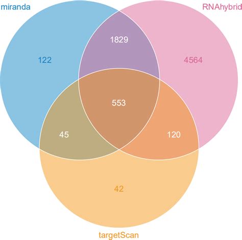 Target Gene Prediction Venn Diagram The Intersection Of The Target