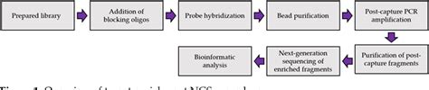 Figure 1 From Probe Capture Enrichment Methods For Hiv And Hcv Genome