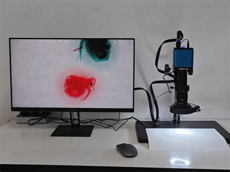 ศูนย์กล้องจุลทรรศน ศูนย์กล้องจุลทรรศน์ Microscope ราคาส่ง