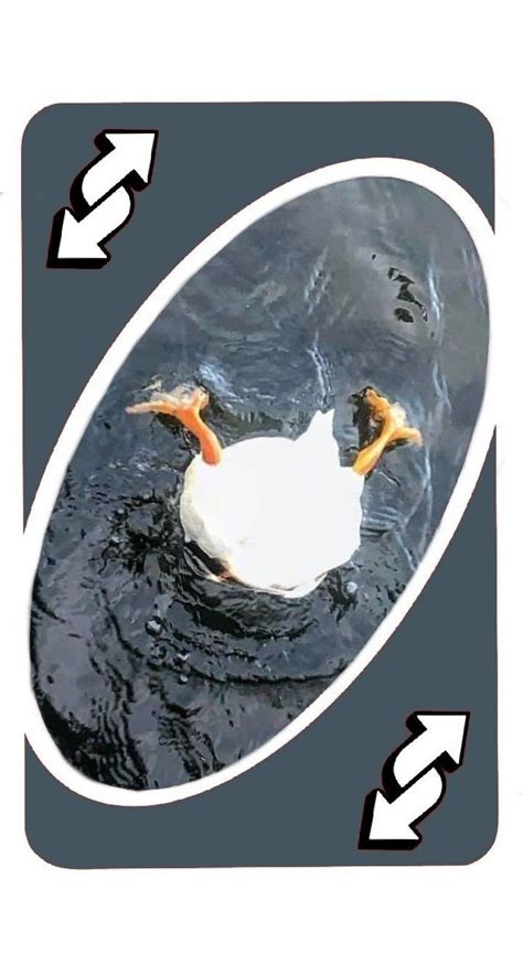 Duck Uno Reverze Card Artofit
