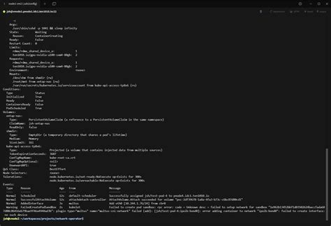 Issue With Allocating Infiniband Interface To Pod Using Ipoibnetwork Crd Network Management