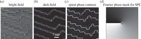 Figure 3 From Orbital Angular Momentum Light In Microscopy Semantic Scholar
