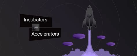Startup Support Systems Comparing Incubators And Accelerators Capsilabs