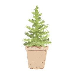 Naked Christmas Tree Vector Images 55