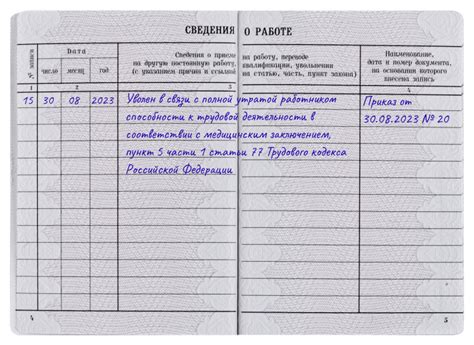 Запись об Увольнении в Трудовой Книжке [12 Образцов по ТК РФ]