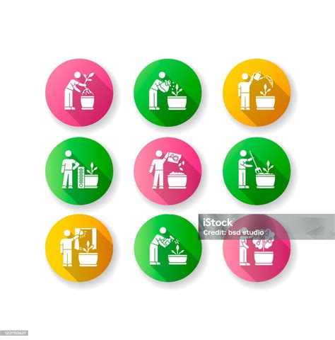 실내 원 예 단계 평면 디자인 긴 그림자 문 양 아이콘 세트입니다 하우스 플랜트 돌보는 리포팅 급수 비옥화 분무 꽃을 전파 실루엣 Rgb 컬러 일러스트 0명에 대한 스톡