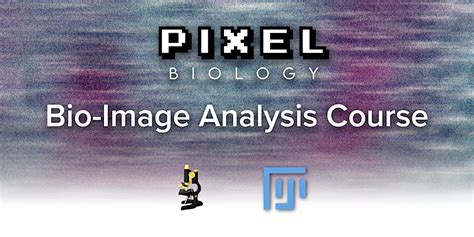 Image Analysis Course With Fiji Imagej Focalplane