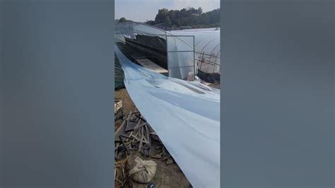 성주참외 모종 준비하기 위한 작업터널 비닐 넣기កំពុងទាញកៅស៊ូចូលរោងហោសុឺ Youtube