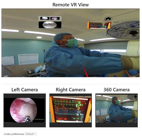 Screenshot Of The Web Application Simulating The Surgery Room A Stream Download Scientific