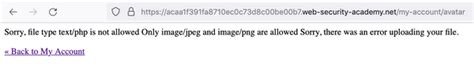 Portswiggers Web Shell Upload Via Content Type Restriction Bypass Walkthrough