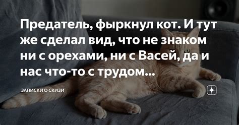 Предатель фыркнул кот И тут же сделал вид что не знаком ни с орехами ни с Васей да и нас
