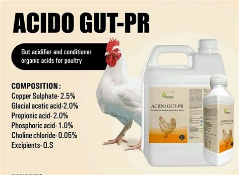 Liquid Gut Act Probiotic Feed Supplement Packaging Type Bottle Packaging Size 5 Litre At
