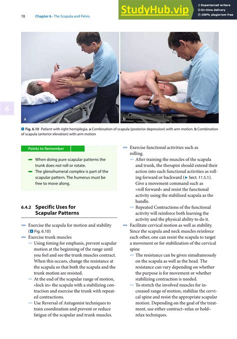 An Illustrated Guide Pnf In Practice Fourth Edition Pdf