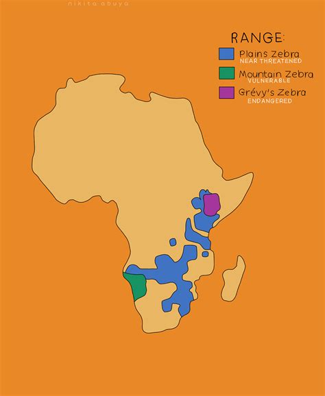 African Zebra Fun Facts On Behance