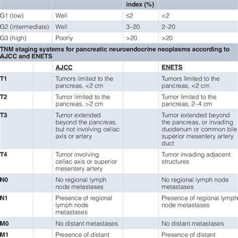 Pancreatic Neuroendocrine Tumors Who Classification And Tnm Staging