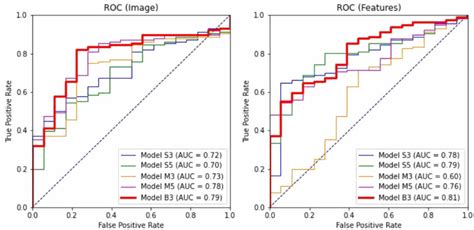 Roc Curves And Auc Values For The Different Neural Architectures