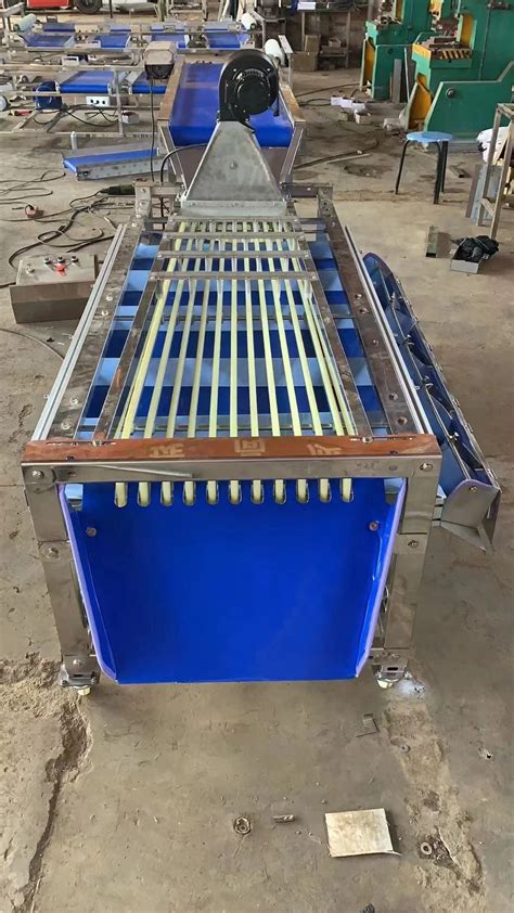 sweet potatoes vegetable sorting grading classifying machine line
