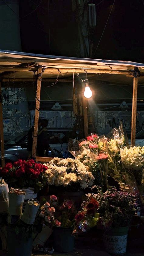 Life Love Feed Writing Writer Flowers Aparnaa Nanda