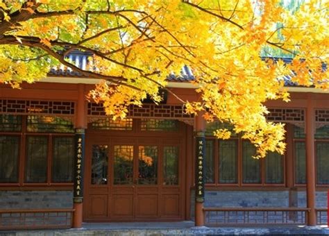 星月老北京的秋天散文 江山文学网