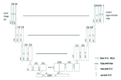 U Net Algorithm Diagram Download Scientific Diagram