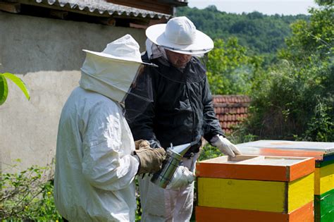 화창한 봄날에 양봉장에서 꿀벌 벌집을 검사하는 양봉가 2명에 대한 스톡 사진 및 기타 이미지 2명 35 39세 65 69세 Istock