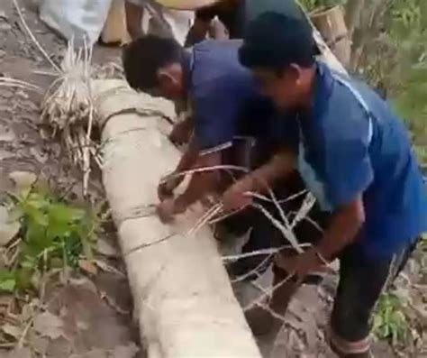 မိုင်းကိုင်မြို့နယ် အမျိုးသားတစ်ဦးကို Sspp Ssa တပ်ဖွဲ့က ပစ်သတ်ခဲ့ပြီး လ