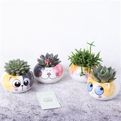 ᐉ Набор из вазонов Magic Gardens Коты для суккулентов и кактусов из 4 х кашпо и 4 х суккулентов