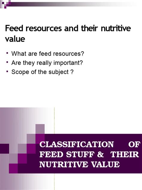 1 Classification Of Feed Stuff Pdf Dietary Fiber Diet And Nutrition