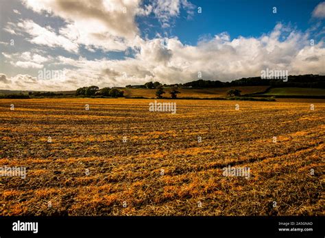 Crop Marks Hi Res Stock Photography And Images Alamy