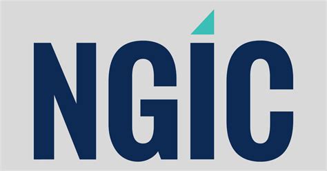 Next Gen Infraco Shared High Speed Networks For Africa