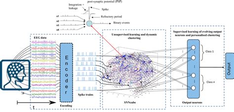 A Schematic Block Diagram Of The Neucube Architecture Illustrated On
