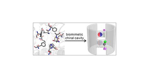Enantioselective Recognition Of Functional Organic Molecules In Water