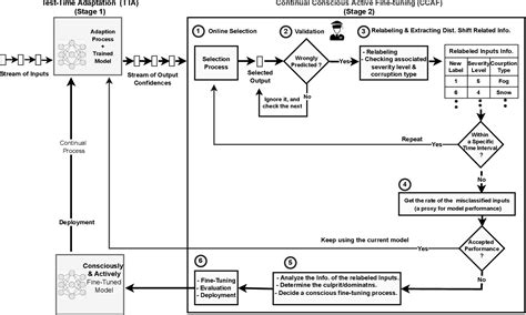 Continual Conscious Active Fine Tuning To Robustify Online Machine Learning Models Against Data
