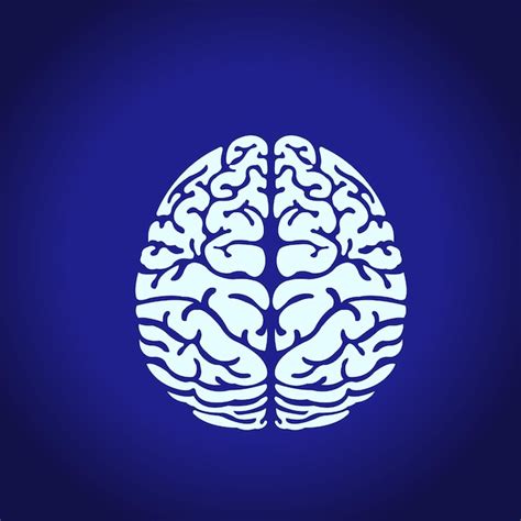 Premium Vector Brain Design
