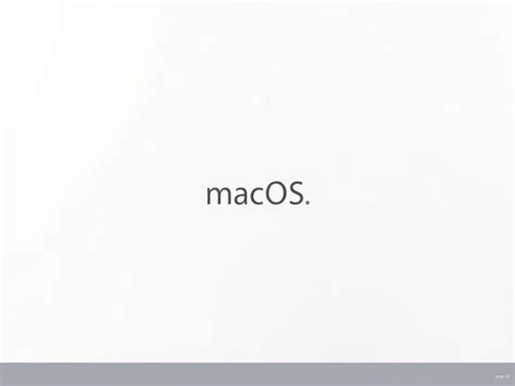 Do All Computers Need An Operating System Explained