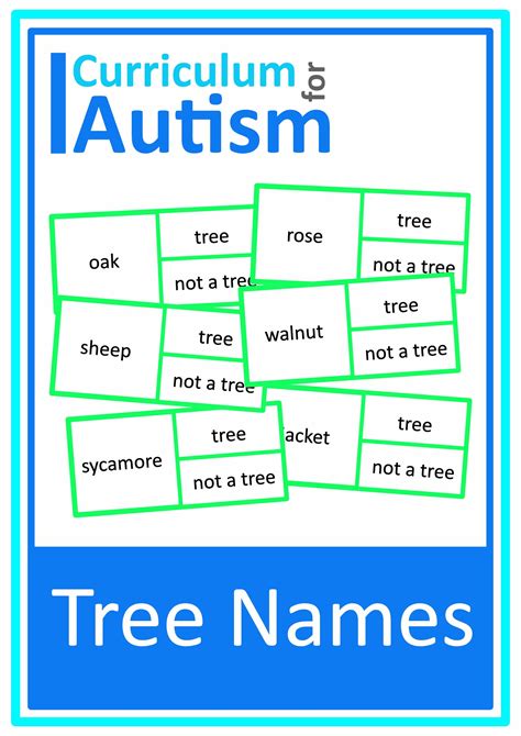 Identifying Tree Names Vocabulary Cards Autism Special Education Needs Curriculum For Autism