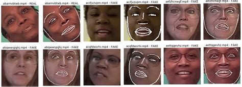 Prediction Results On Dfdc Testing Dataset Download Scientific Diagram