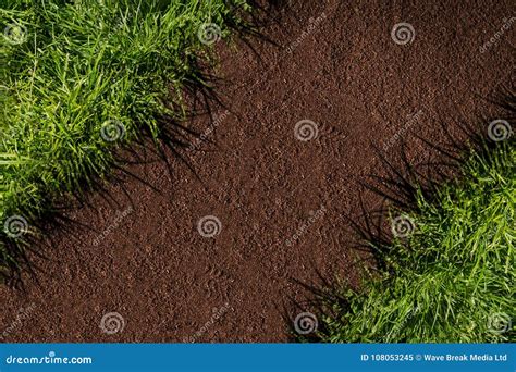 Grass And Earth Stock Image Image Of Nature Shoes 108053245