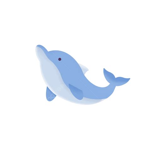 푸른 돌고래 푸른 돌고래 그림 파란색 돌고래 Png 일러스트 및 Psd 이미지 무료 다운로드 Pngtree