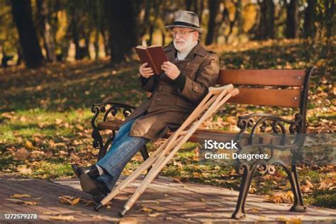 부상당한 노인의 전체 길이 프로필 측면 사진은 가을 숲 마을 공원 라이프 스타일 휴식 자연 휴식 휴식 읽기 지식 책 웨어 모자 모자 재킷 목발에 대한 스톡 사진 및 기타