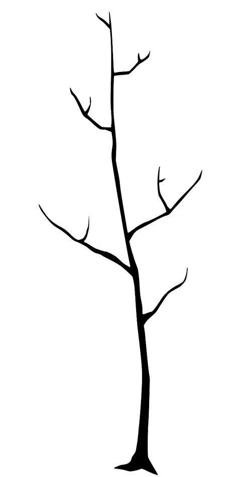 SVG Tree Nature Trunk Free SVG Image Icon SVG Silh