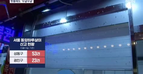 핫플 성수동에 우글우글도심 습격한 동양하루살이 팅커벨