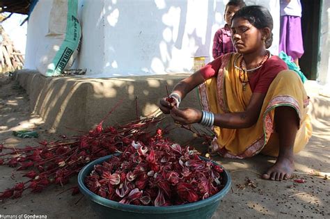Lost Tastes Of India 10 Vanishing Indian Foods Youve Probably Never