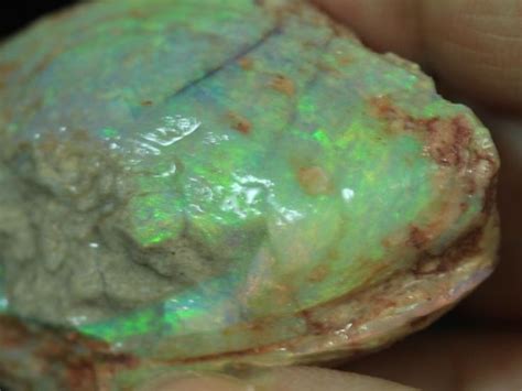 5384 Best Nautical Passion Seashells Images On Pinterest Sea Shells