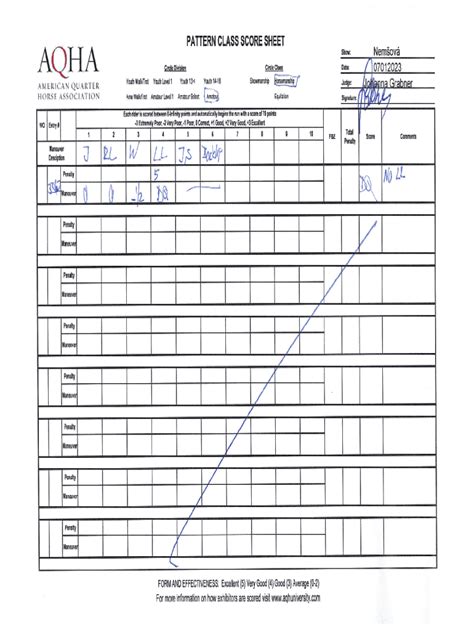 Fillable Online Pattern Class Score Sheet Fax Email Print Pdffiller