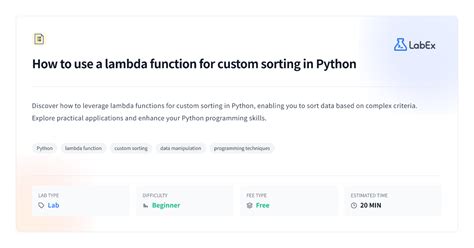 How To Use A Lambda Function For Custom Sorting In Python Labex