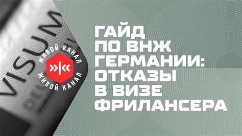 ОТКАЗЫ В ВНЖ ФРИЛАНСЕРА ПО ТУРИСТИЧЕСКИМ ВИЗАМ Что произошло Что делать Youtube