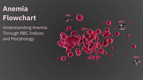 Anemia Flowchart By Amanda Thomas On Prezi