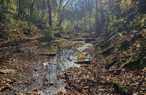 10 Best Hikes And Trails In Salt Fork State Park Alltrails