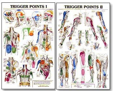 Trigger Point Charts Trigger Points Trigger Point Massage Dry Needling Therapy